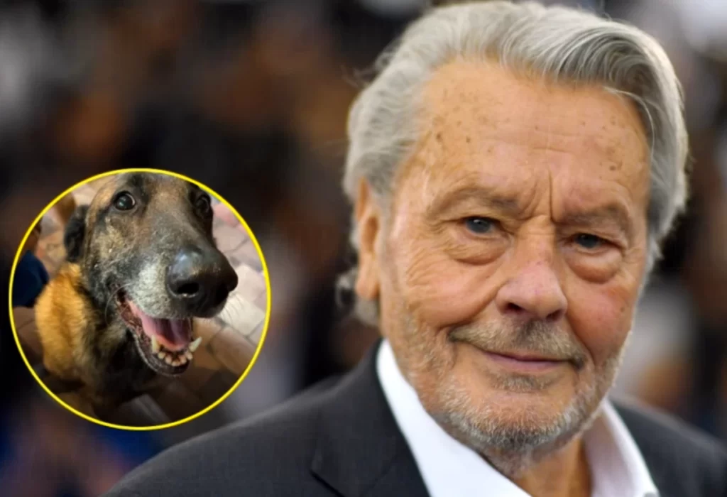 El perro de Alain Delon no será sacrificado: respetan su vida tras la ...